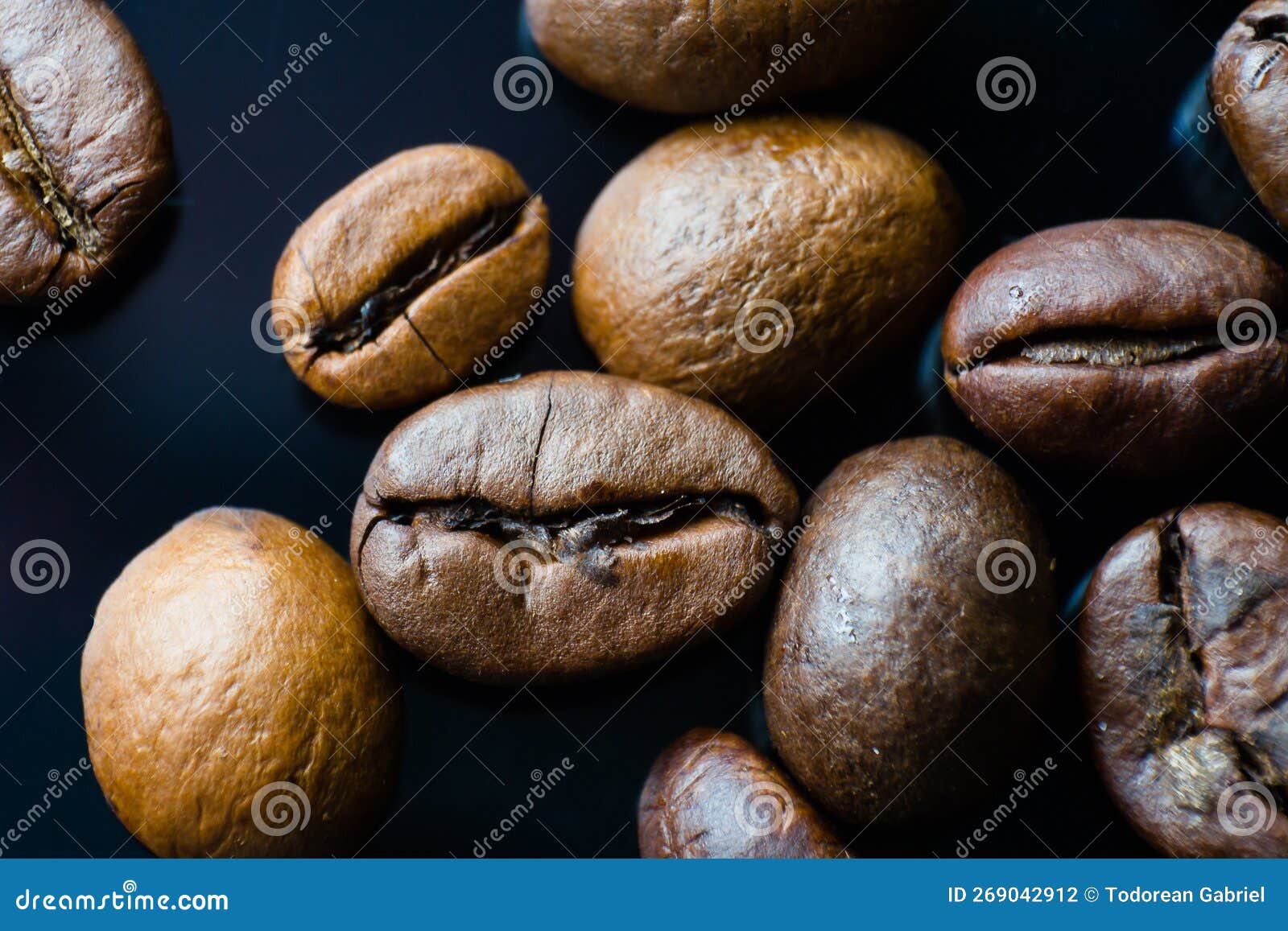 Macro Photo of Rasted Cofee Beans Stock Photo - Image of flavor ...
