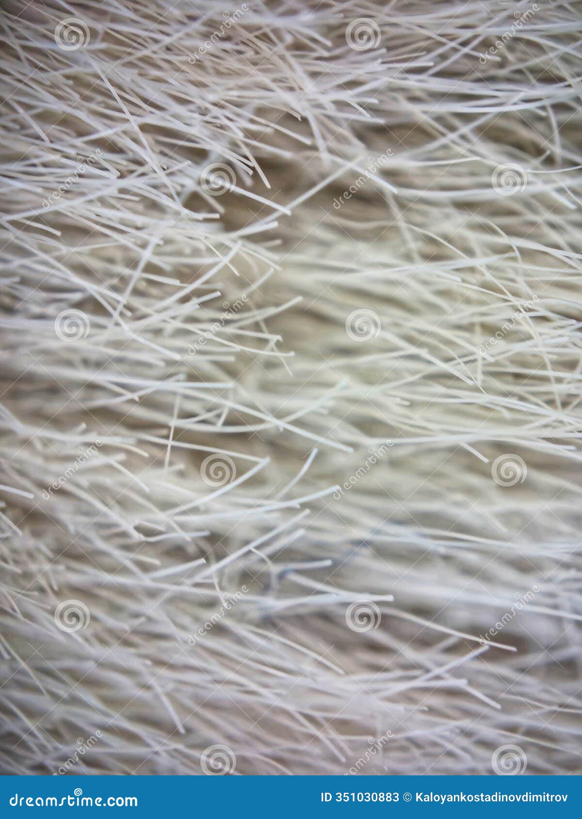 Macro Photo of a Threaded Fabric Under a Microscope Stock Image - Image ...