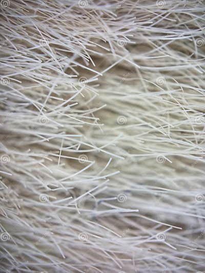 Macro Photo of a Threaded Fabric Under a Microscope Stock Image - Image ...