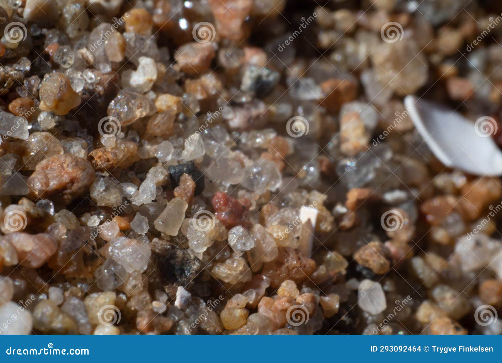 Macro Photo of Small Quartz Sand Particles at a Beach.. Stock Photo ...