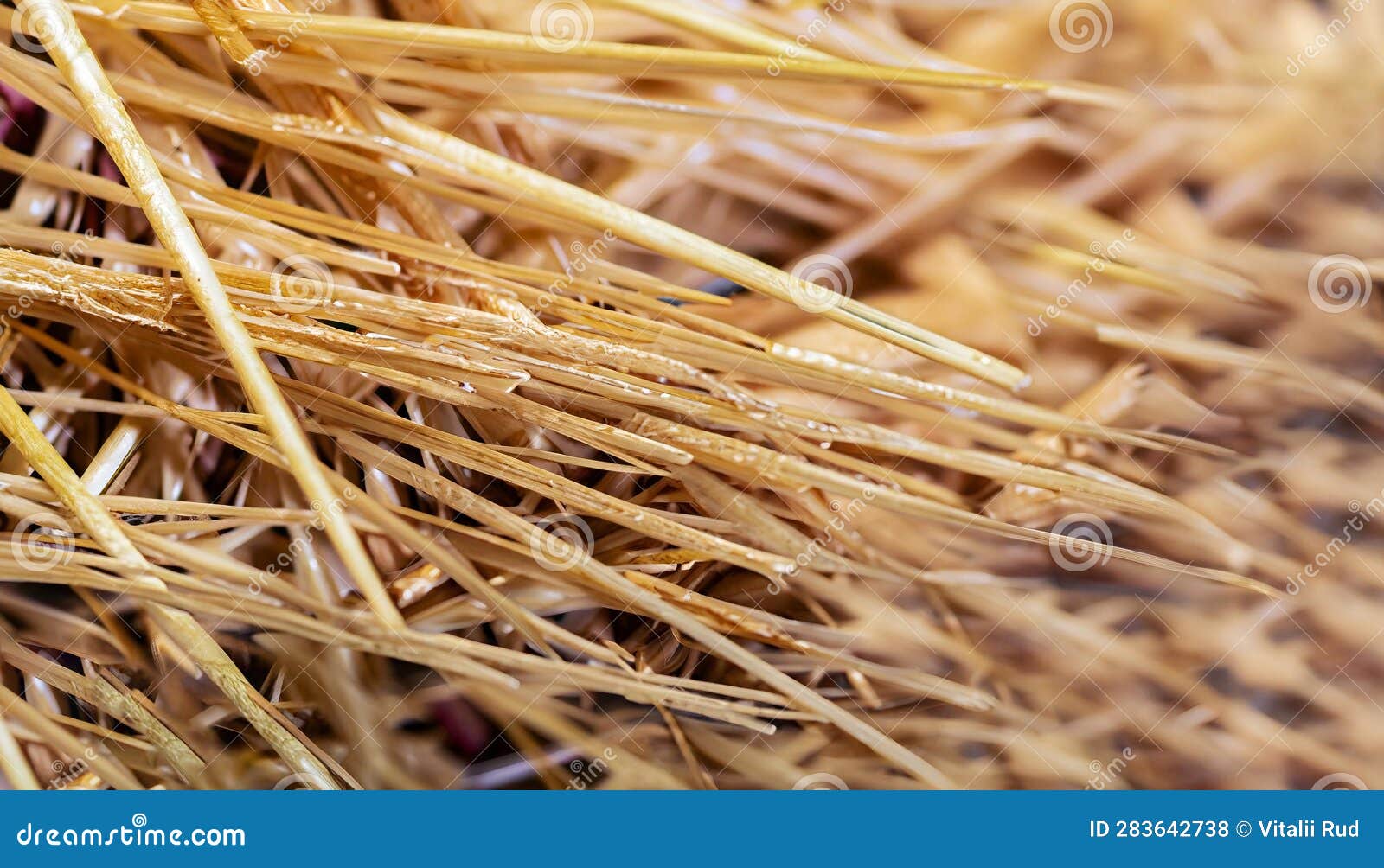 Macro Photo of Straw Texture Stock Photo - Image of straw, closeup ...