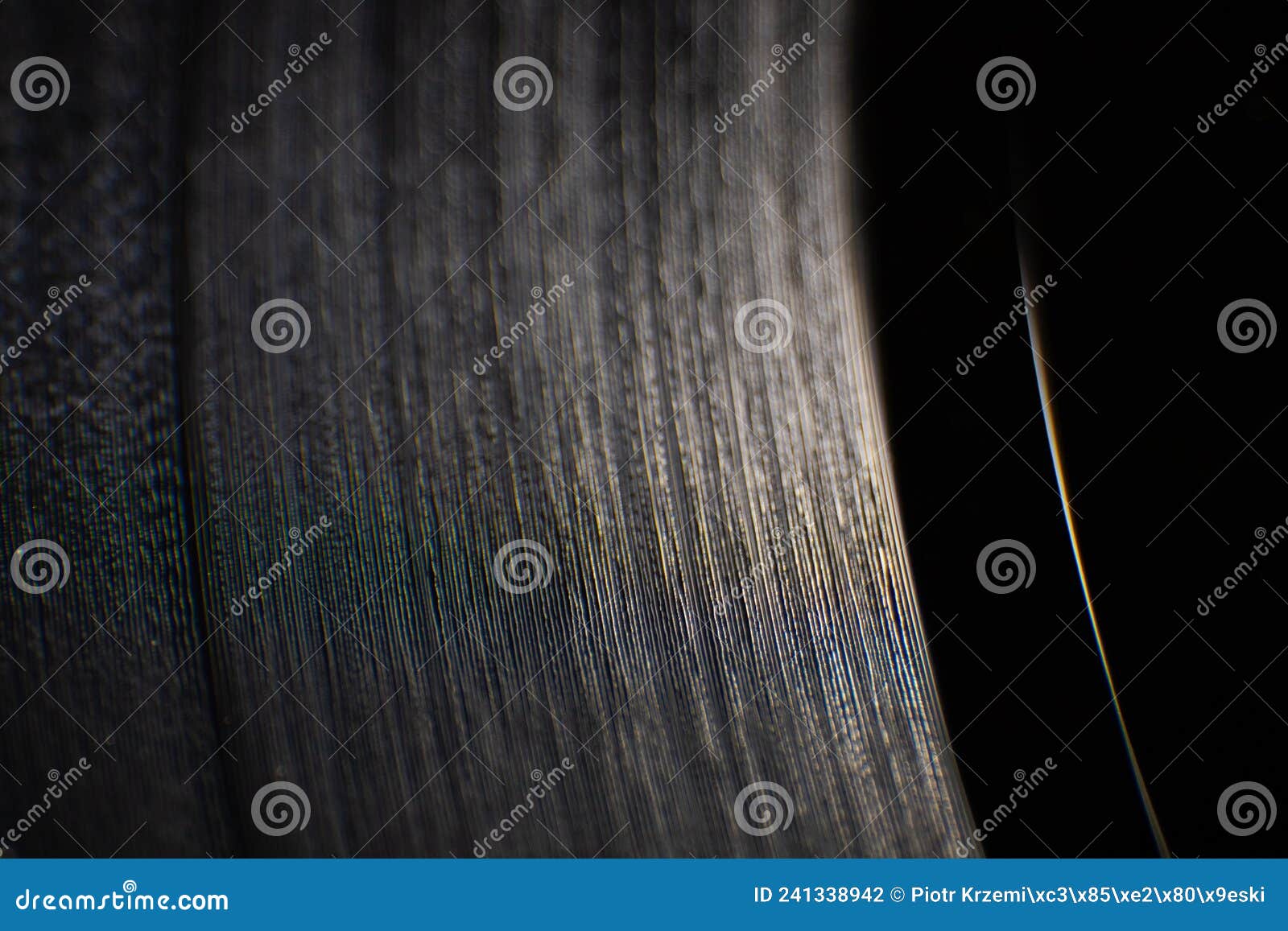 Macro Photo of Vinyl Record Showing Different Grooves Stock Photo ...