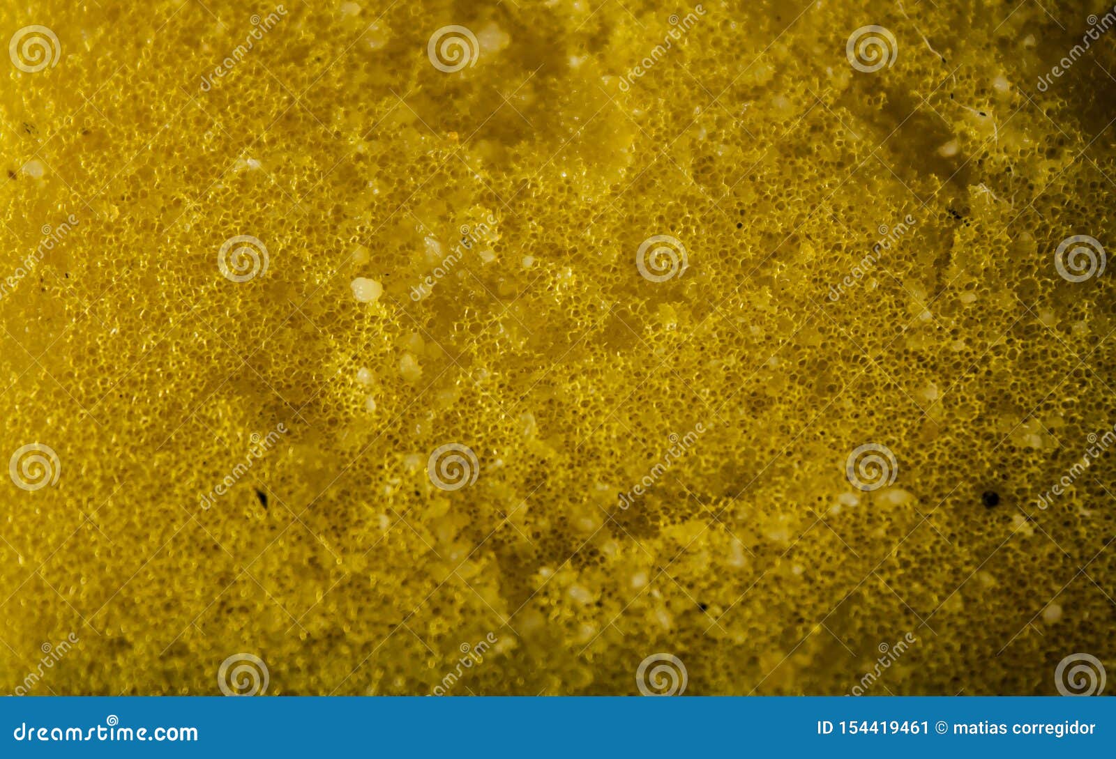 Sponge in macro stock image. Image of decorative, wallpaper - 154419461