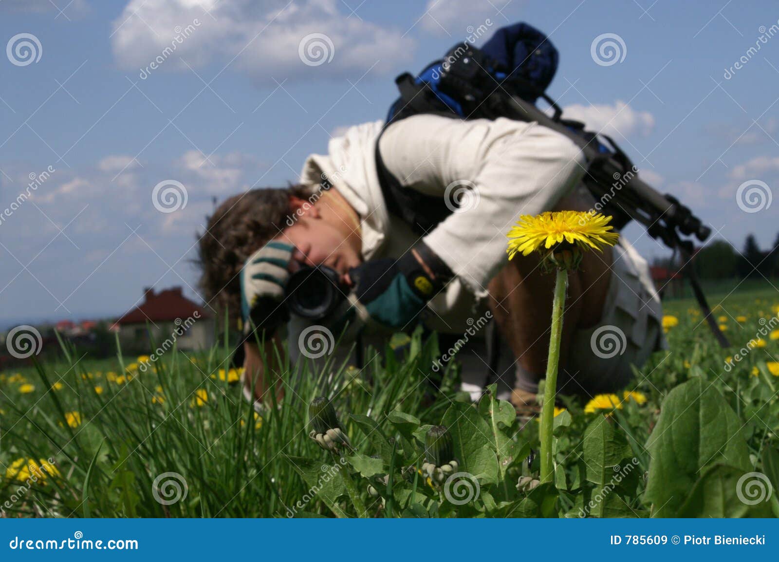 Macro-photographer stock image. Image of amateurs, capture - 785609