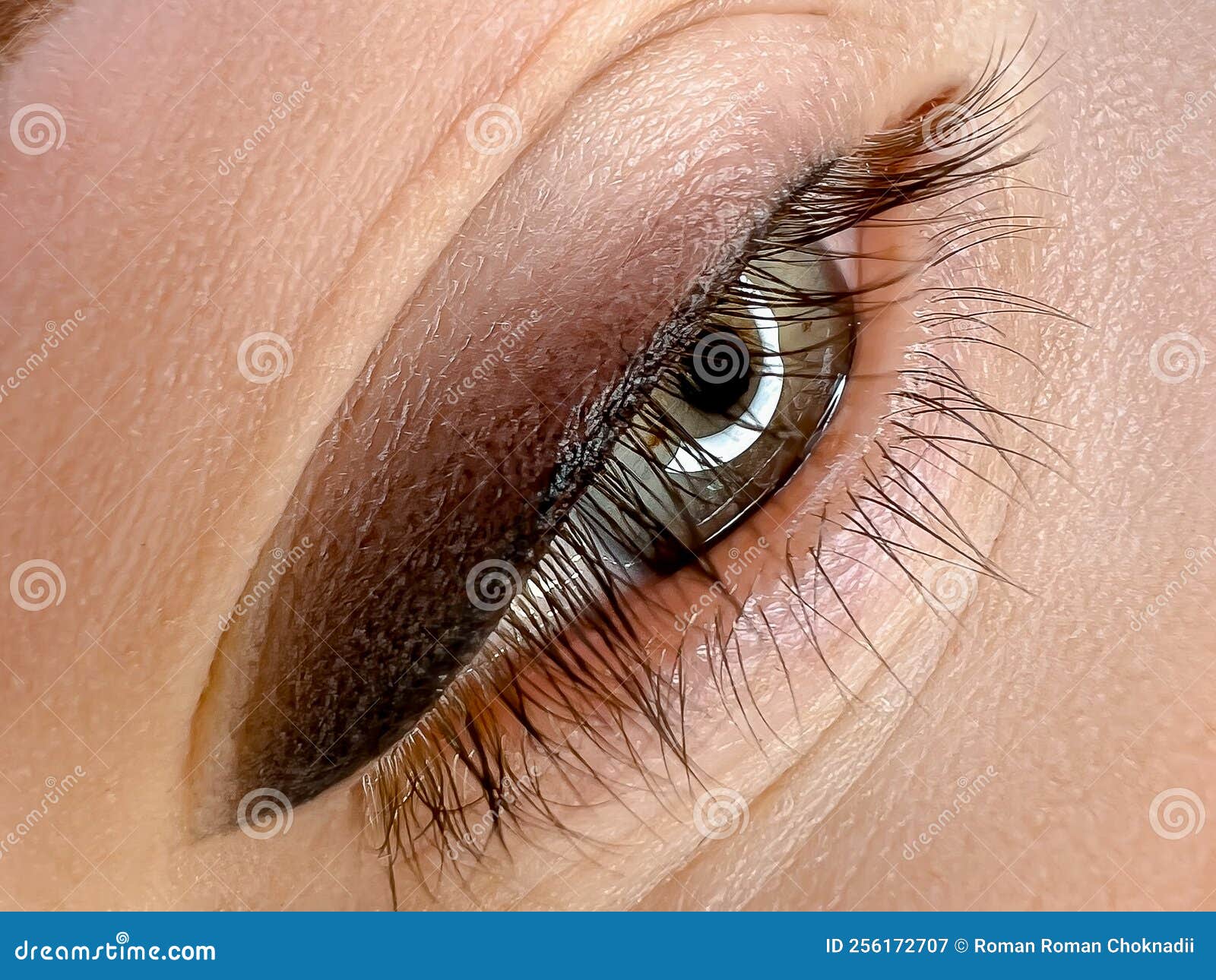 Macro Photography of the Eye with the Procedure of Permanent Make-up of the Upper Eyelid in ...