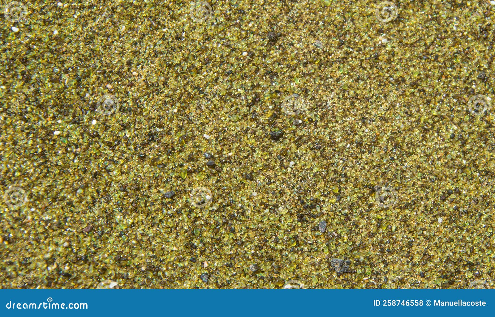 Macro Photography of Green Sand in the Pacific. Stock Photo - Image of ...