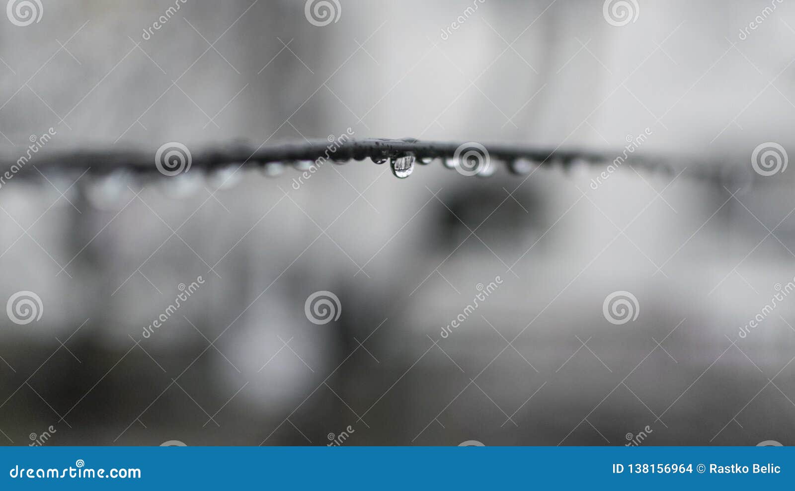 Macro Photography of Rain Drops on Black Metal Wire Stock Photo - Image ...