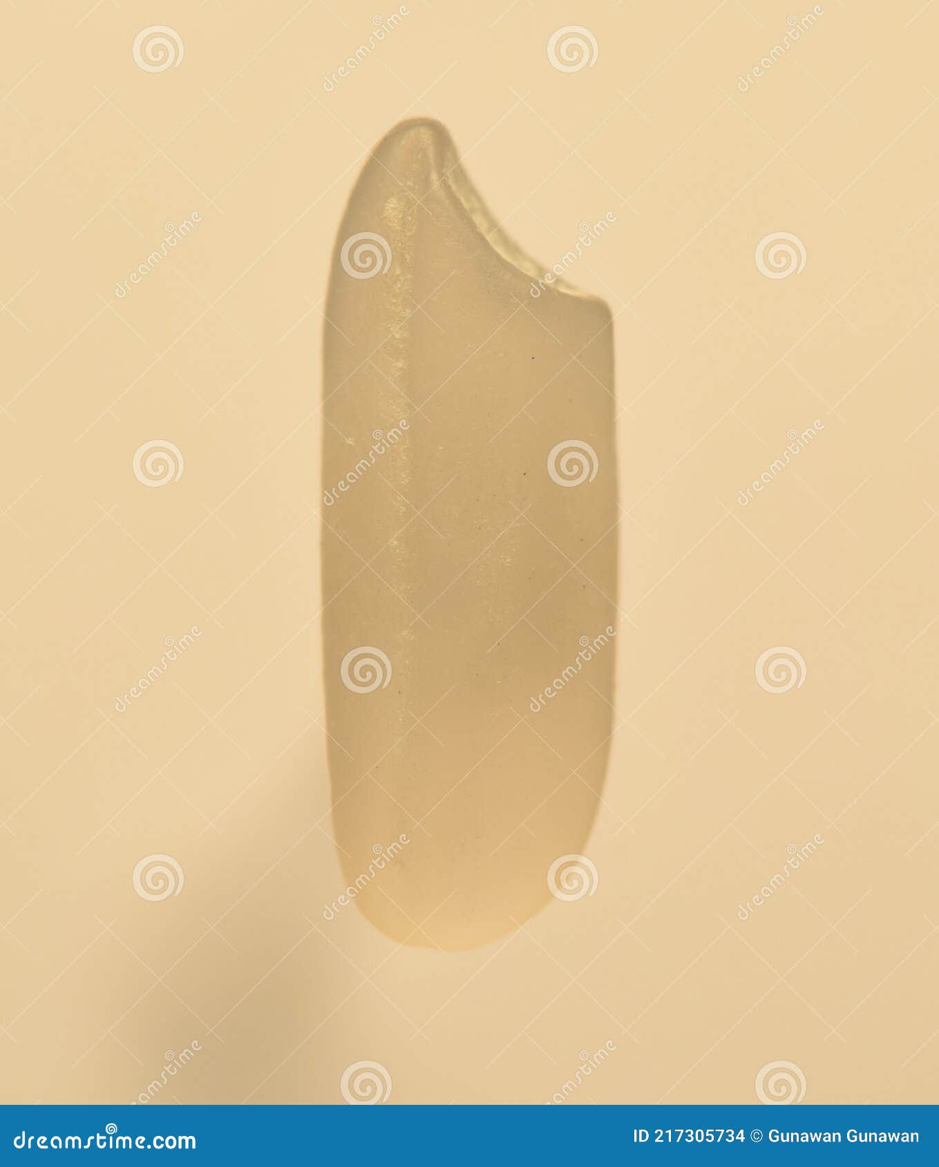 Macro Photography of Rice Grain. Stock Photo - Image of fiber, white ...