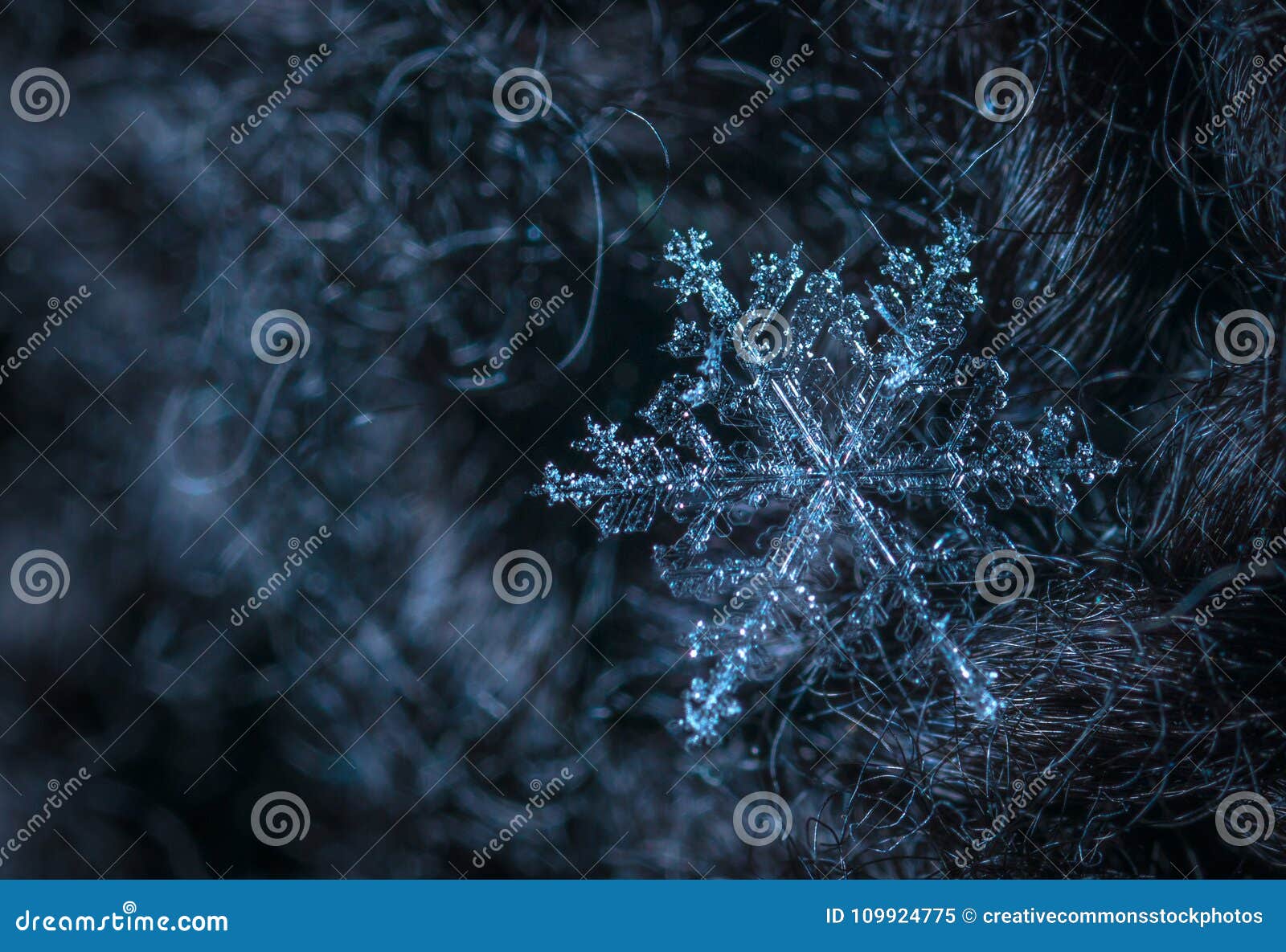 Macro Photography Of Snowflake Picture. Image: 109924775