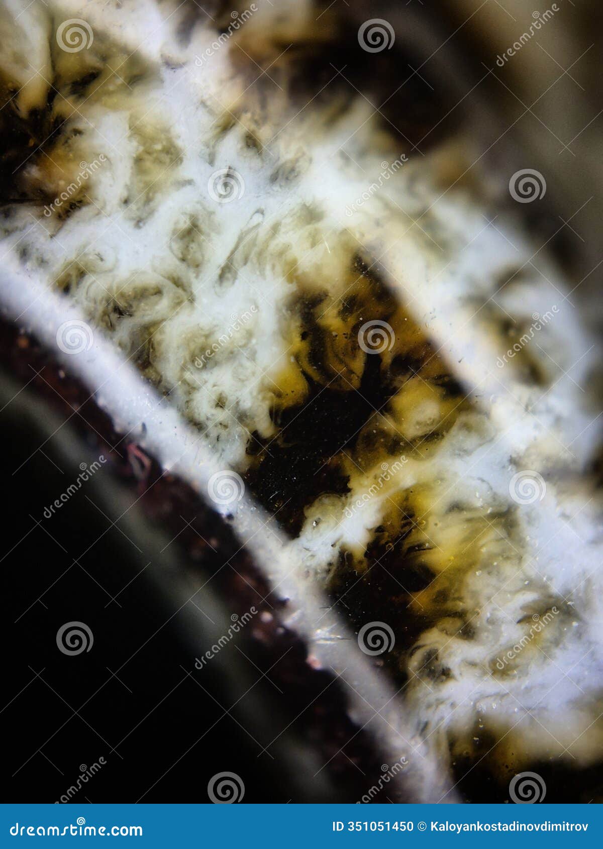 "Secrets of Ceramics: Macro Photography Under the Microscope" Stock ...