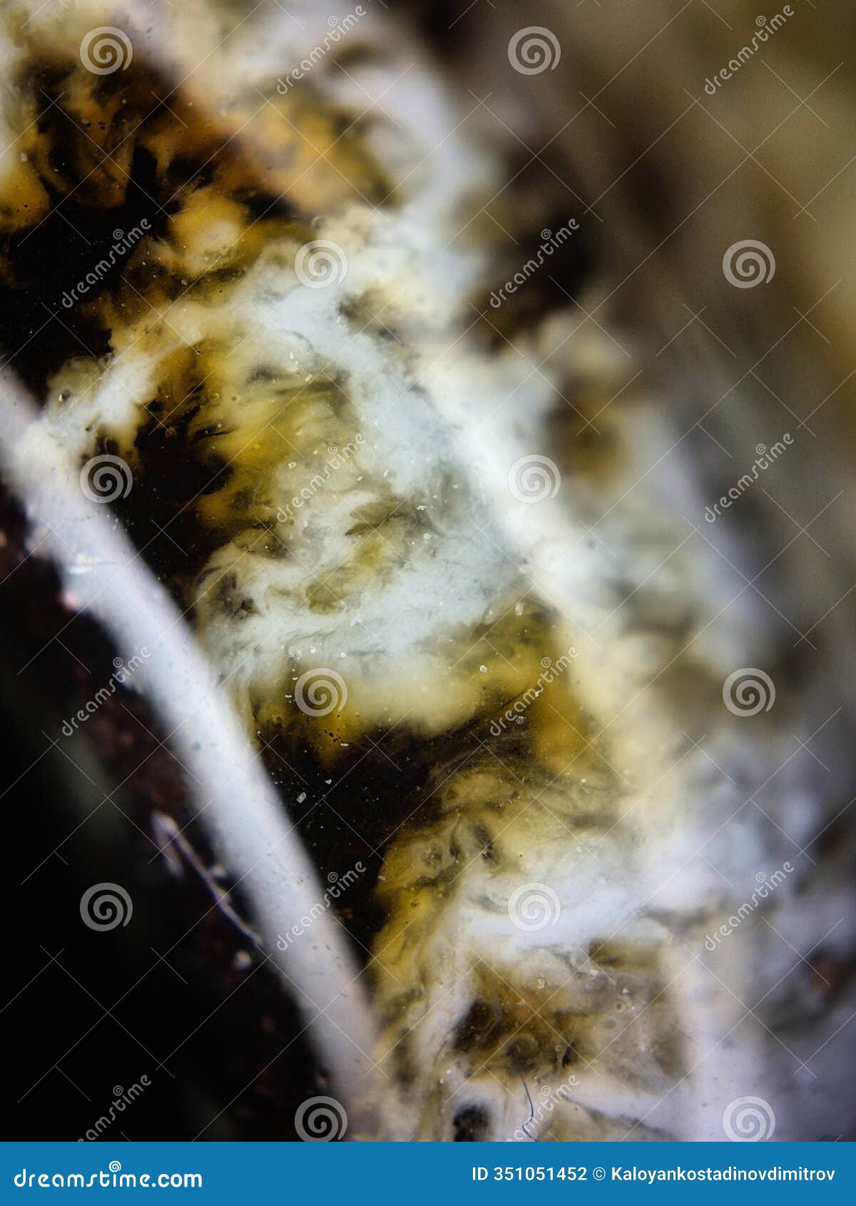 "Secrets of Ceramics: Macro Photography Under the Microscope" Stock ...