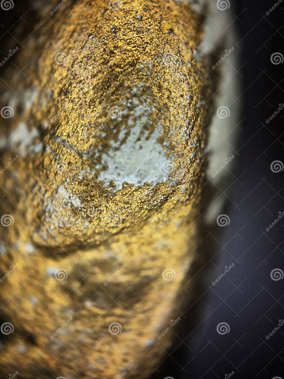 "Secrets of Ceramics: Macro Photography Under the Microscope" Stock ...