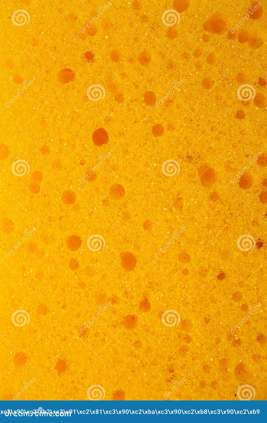 Macro Photography of Yellow Foam. Sponge Texture Stock Image - Image of ...