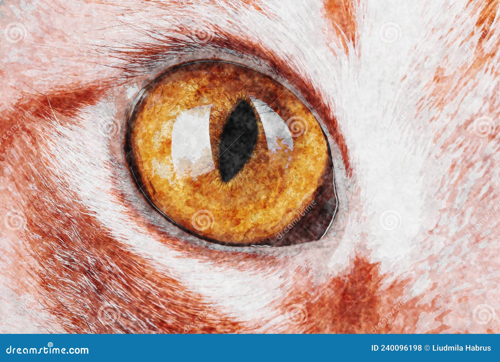 Macro Photos of Cat Eyes, Red Cat Stock Photo - Image of speckled, eyes ...