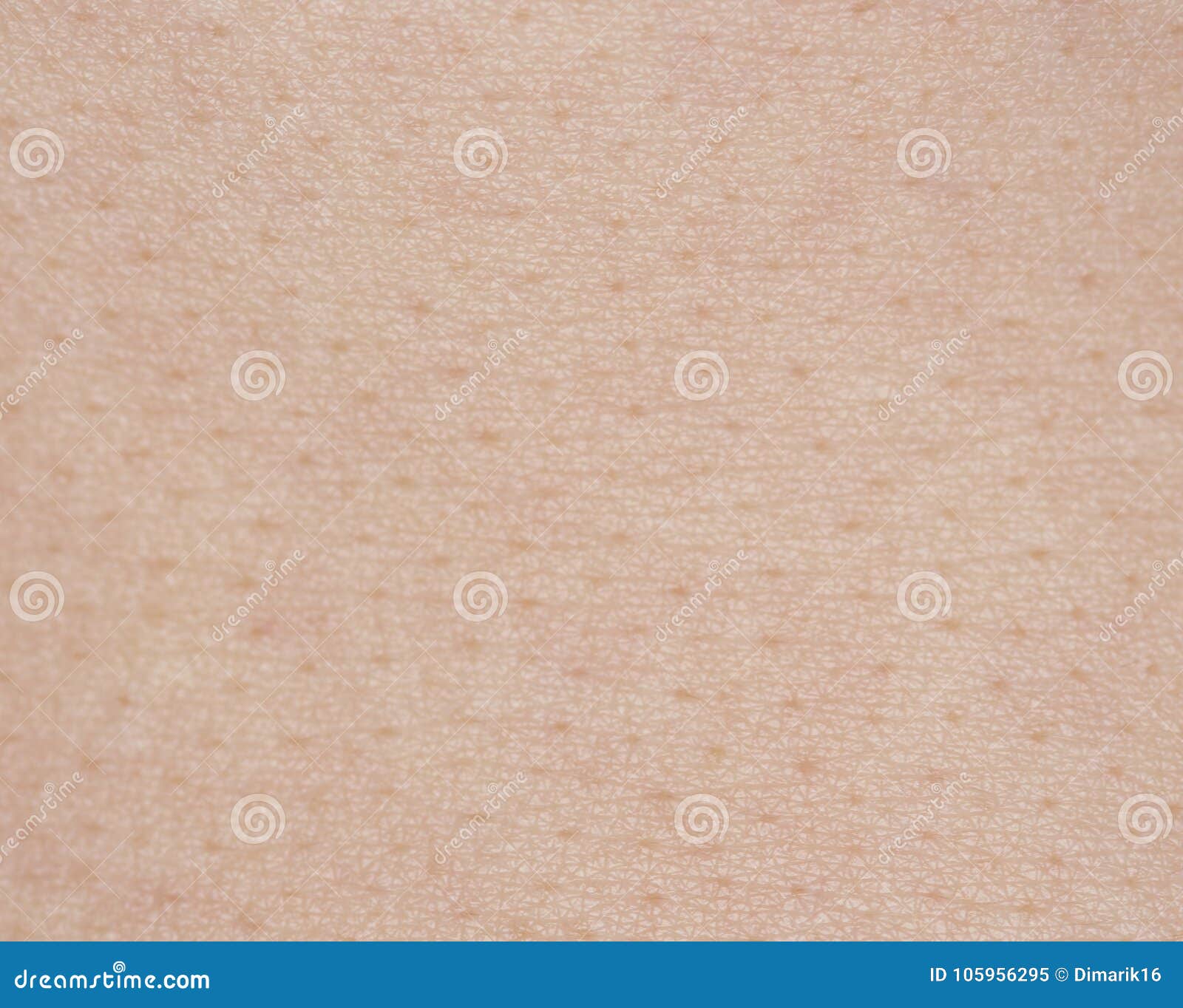 Macro of pink skin texture stock image. Image of complexion - 105956295