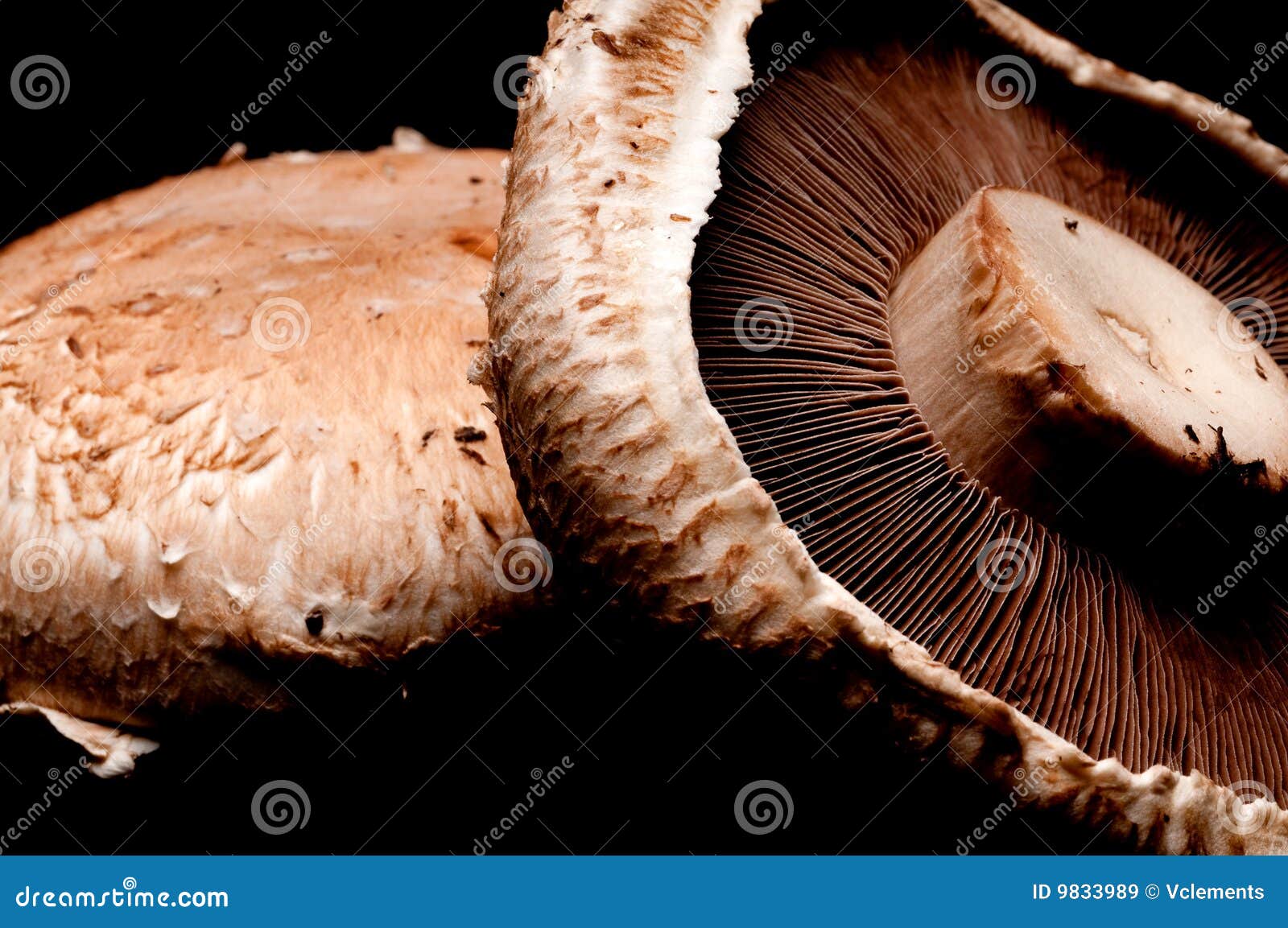 Macro of Portabella Mushroom Caps on Black Stock Image - Image of food ...