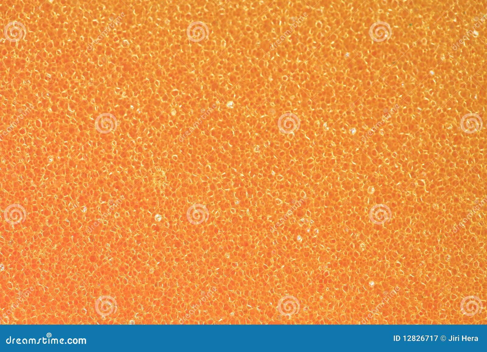 Macro Projectile De Texture D'éponge Image stock - Image du poreux ...