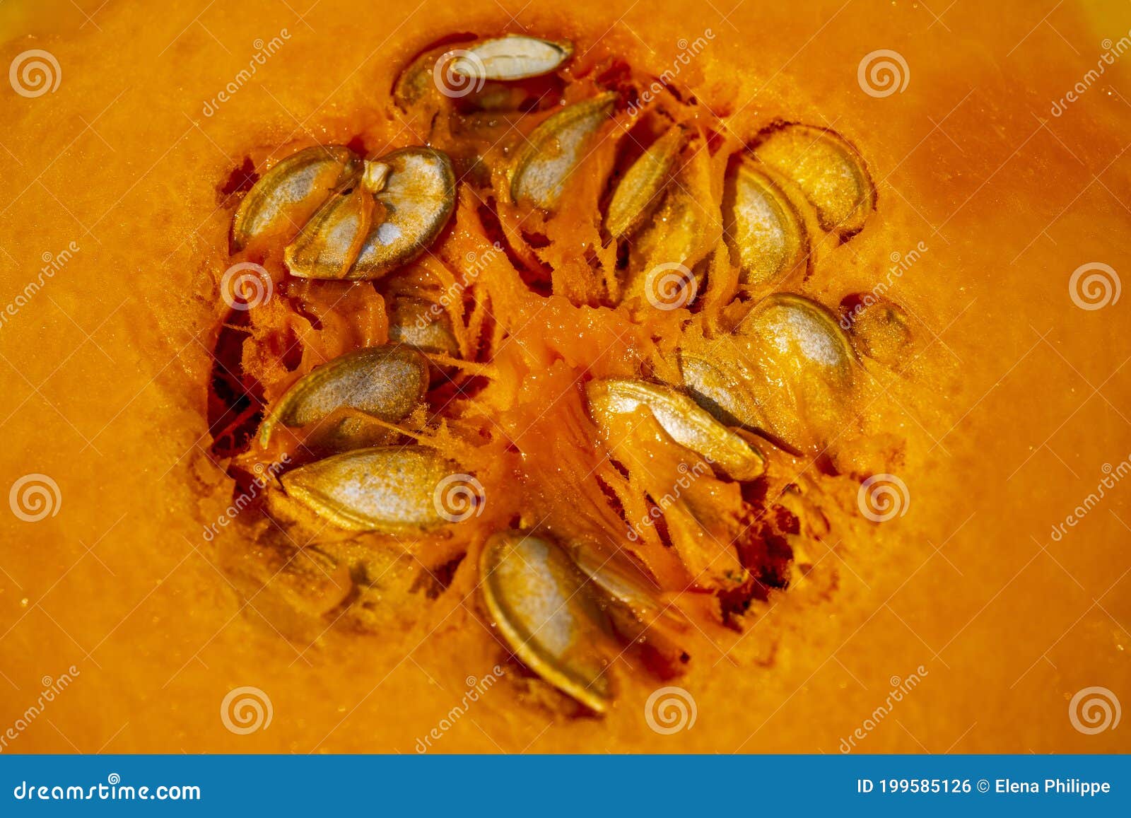 Macro Pumpkin Texture. Close Up of Organic, Sliced Pumpkin with Seeds ...