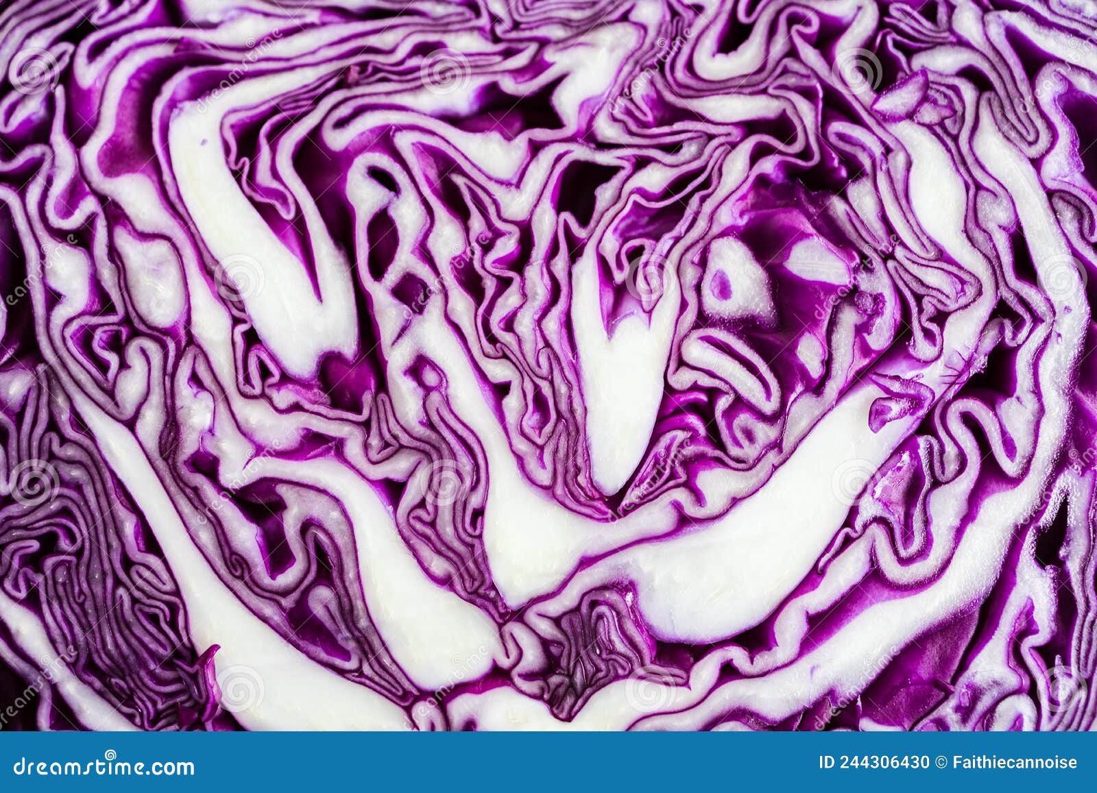 Macro of Purple Cabbage Cut in Half Stock Photo - Image of plant ...