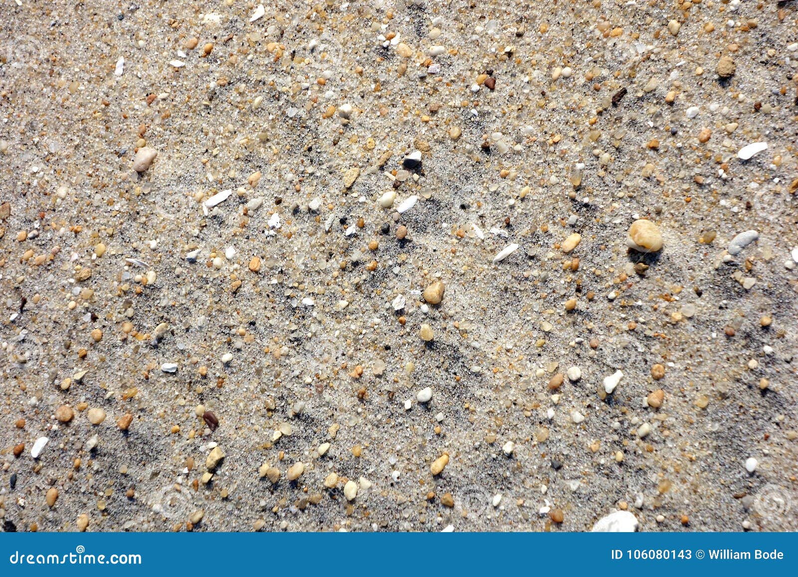 Macro of Quartz and Shell Based Sand Stock Image - Image of assateague ...
