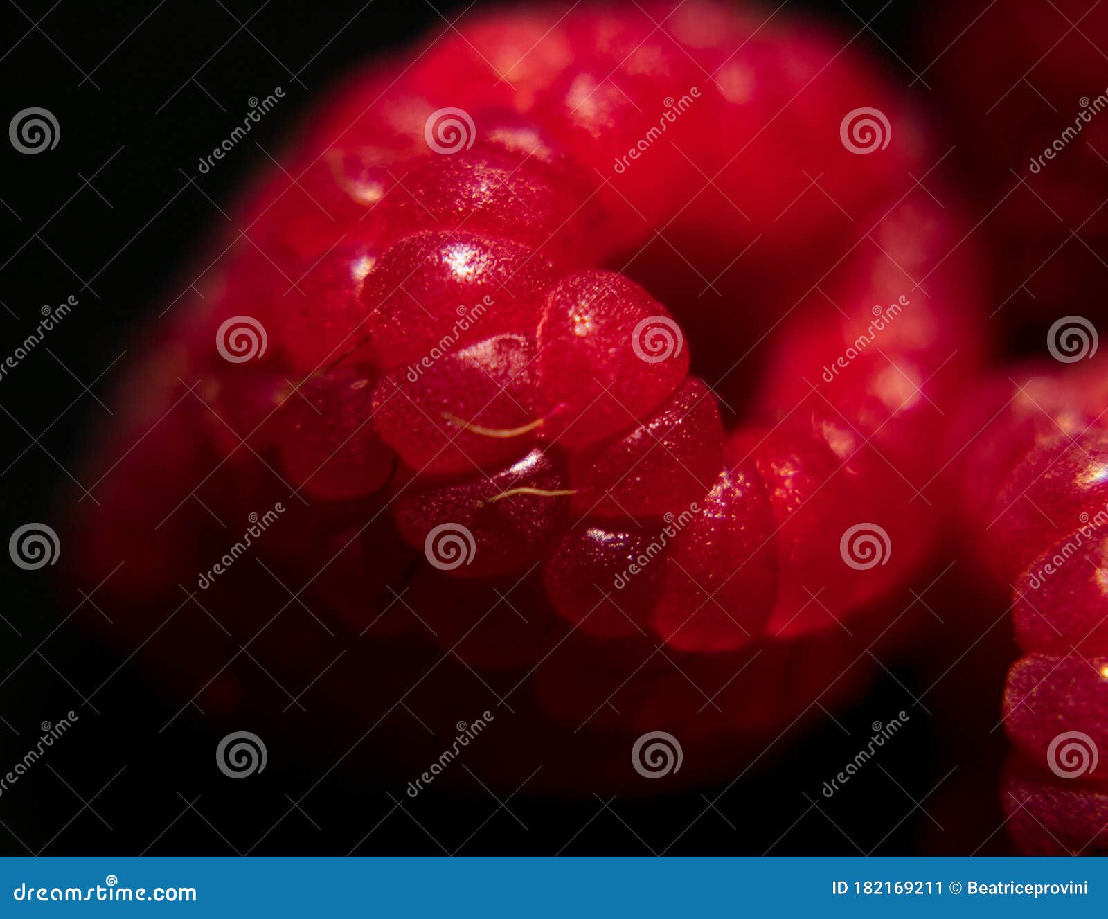 Macro Raspberry Black Background Stock Image - Image of healthy, black ...