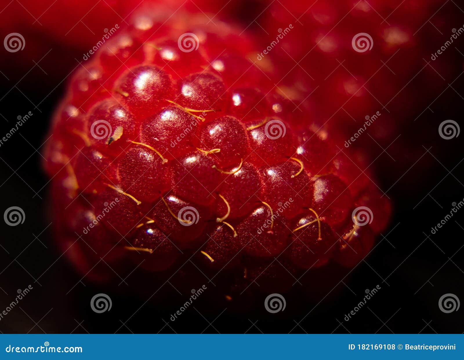Macro Raspberry Black Background with Details Stock Photo - Image of ...