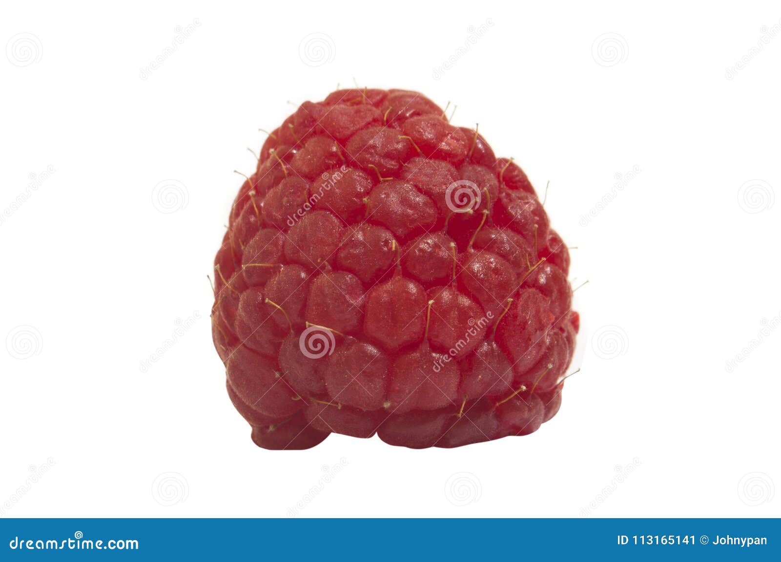 Macro of Raspberry Fruit Isolated Stock Image - Image of ripe, isolated ...