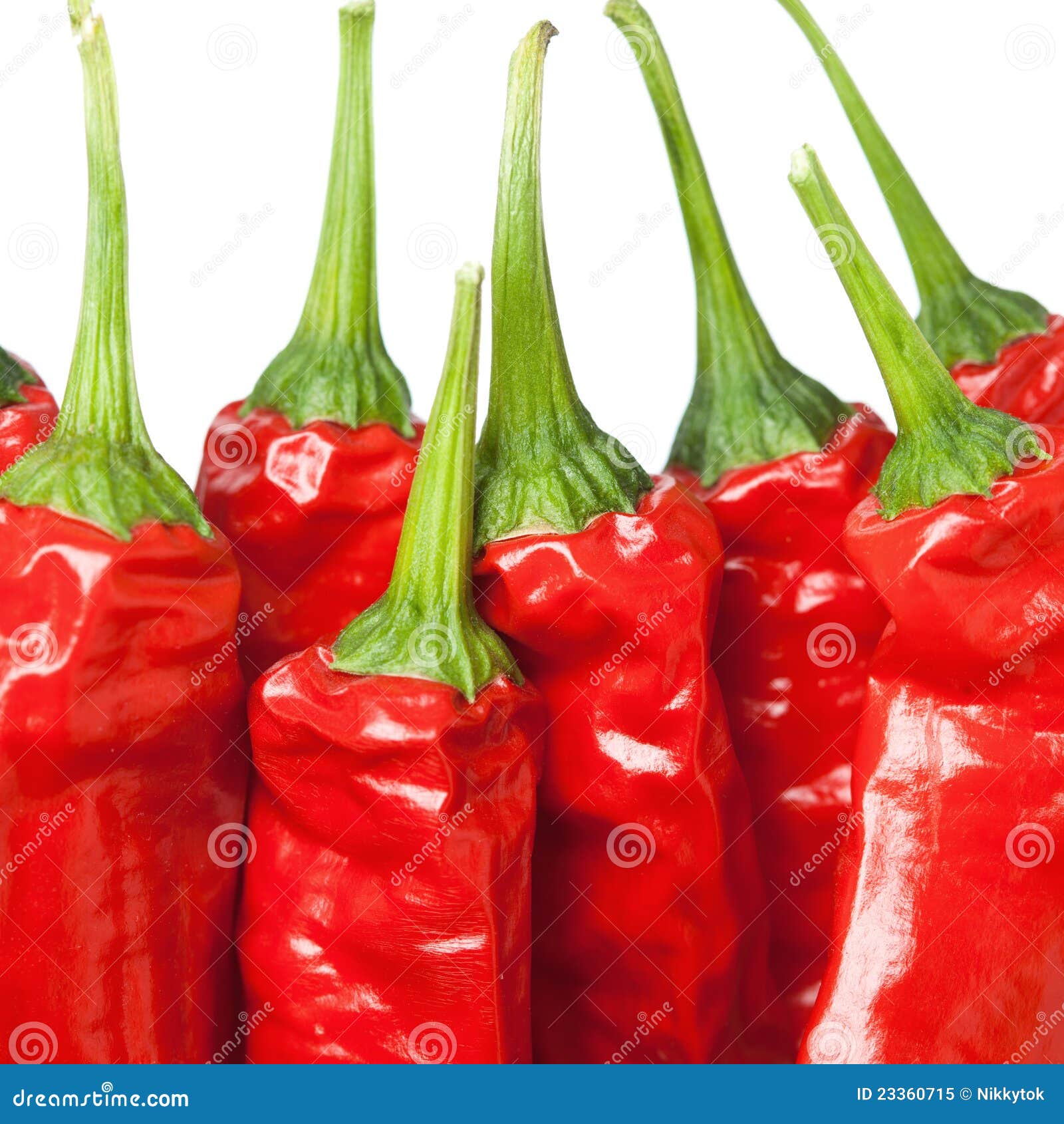 Macro of red chili peppers stock image. Image of salsa - 23360715