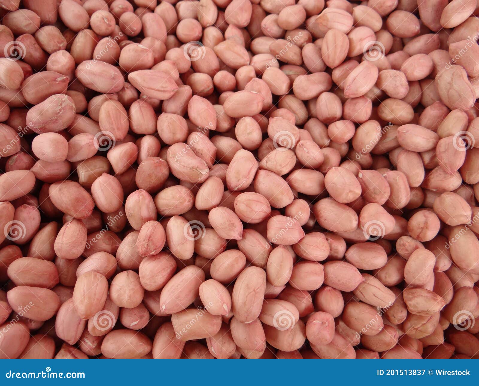 Macro of red peanuts stock image. Image of peanuts, araxis - 201513837