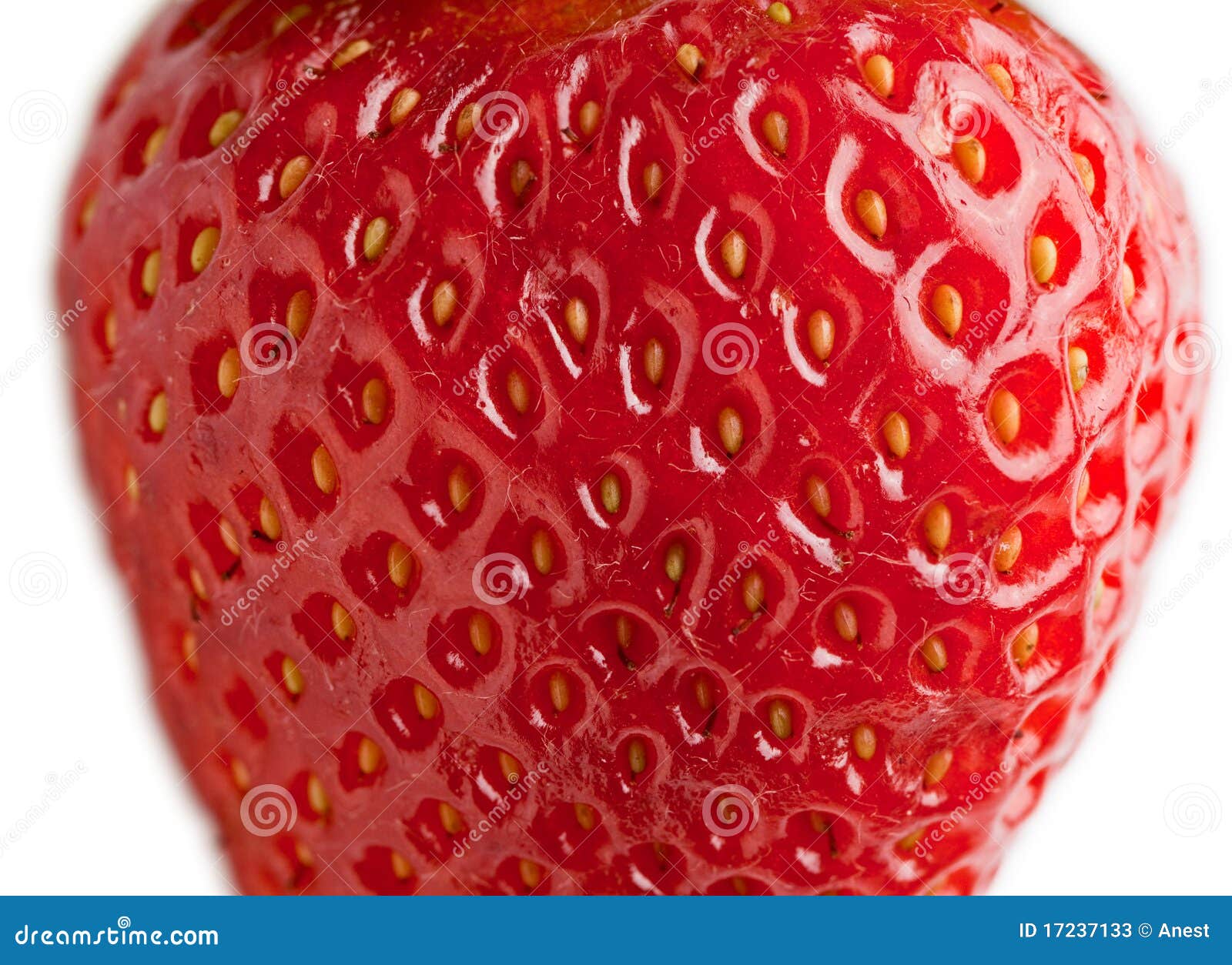 Macro of ripe strawberry stock image. Image of sweet - 17237133