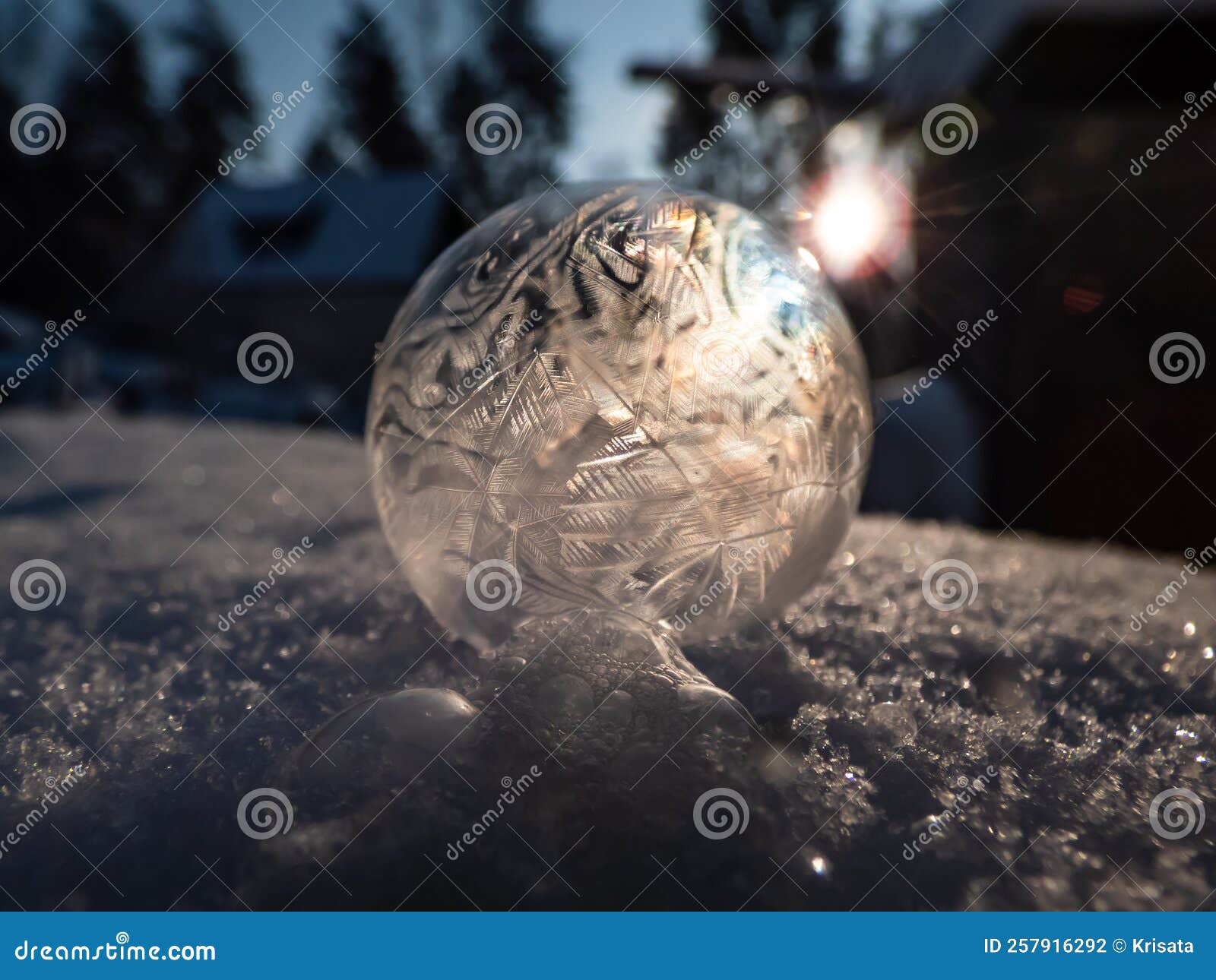 Macro of Round, Frozen Soap Bubble Forming Beautiful Leaf and Tree Like ...