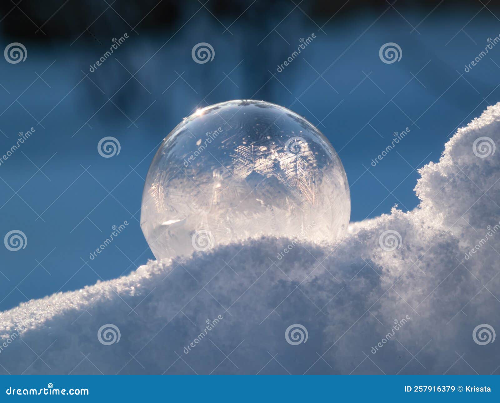 Macro of Round, Frozen Soap Bubble Forming Beautiful Leaf and Tree Like ...