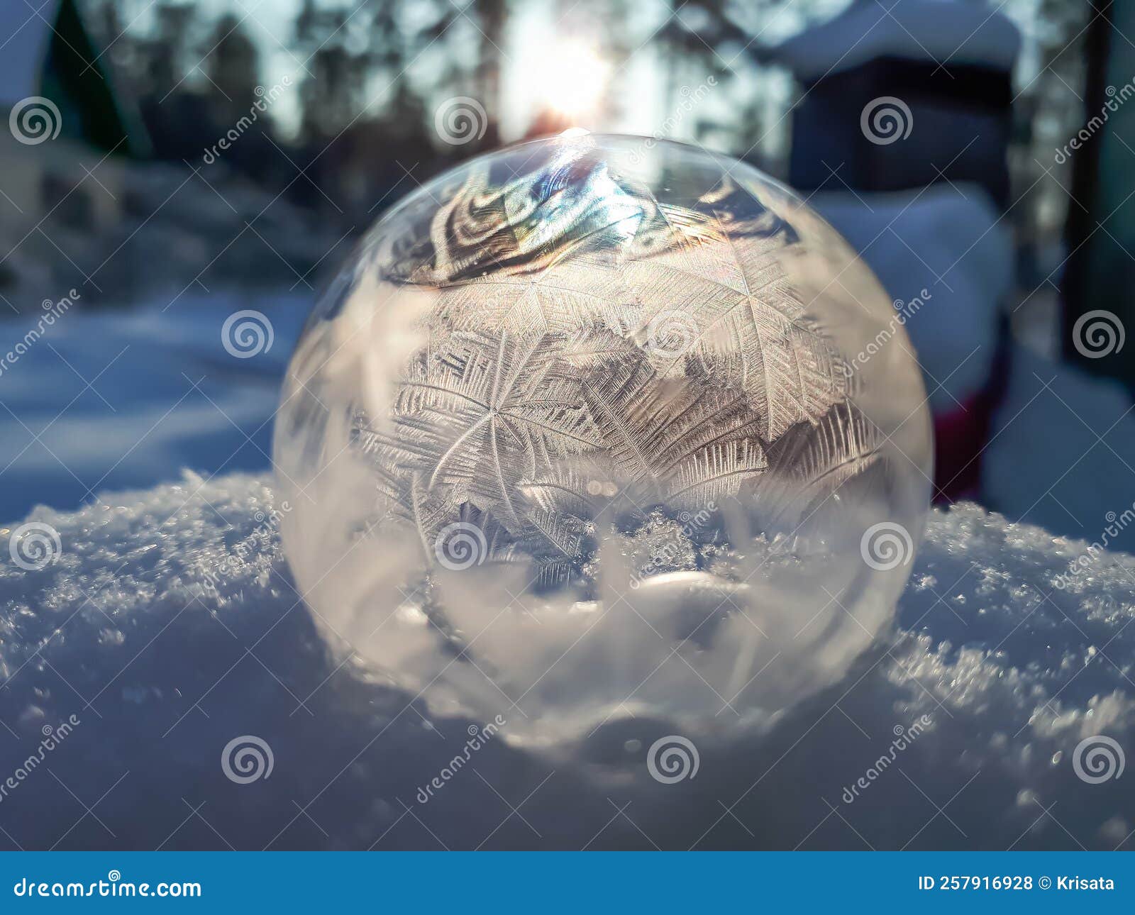 Macro of Round, Frozen Soap Bubble Forming Beautiful Leaf and Tree Like ...