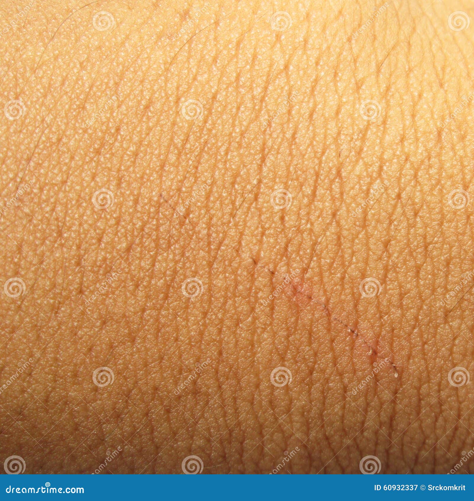 Scar Skin Texture