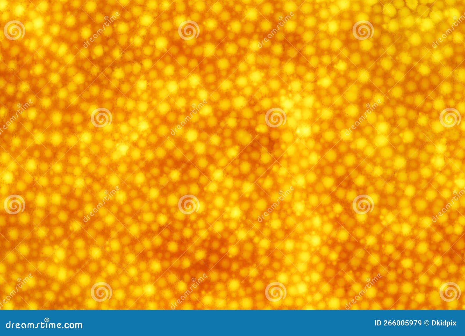 Macro science stock image. Image of cell, chemistry - 266005979