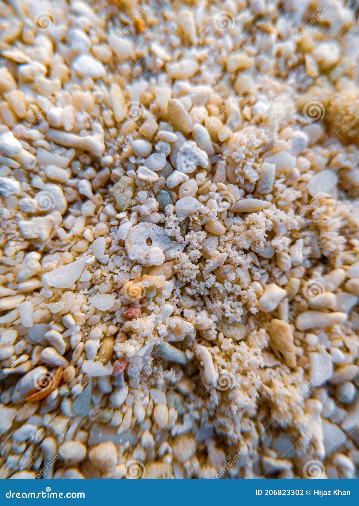 Macro shot beach sand stock photo. Image of invertebrate - 206823302