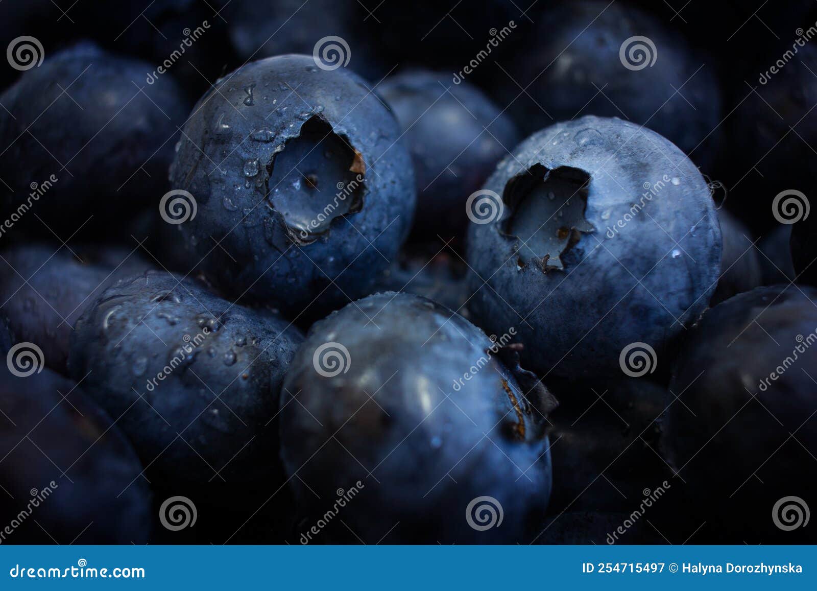 Macro Shot of Blueberry with Water Drops Stock Image - Image of berry ...