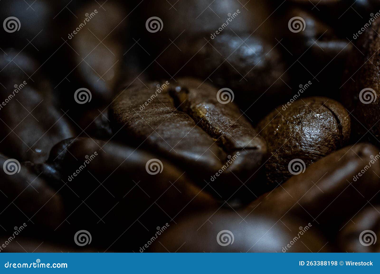Macro Shot of a Brown Coffee Beans with a Light Reflection Stock Photo ...