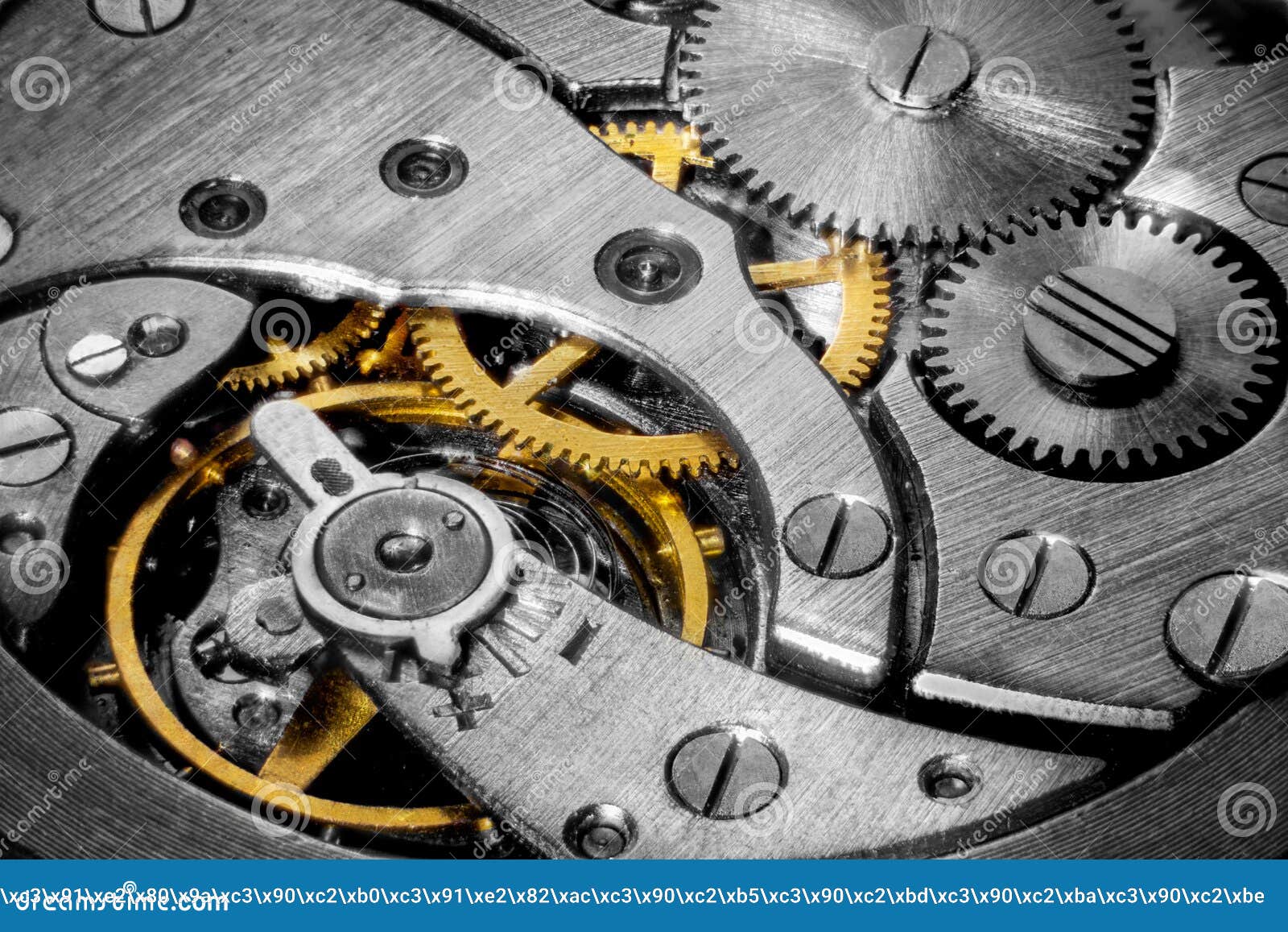 Macro Shot of Clockwork Gears Inside the Watch Stock Photo - Image of ...