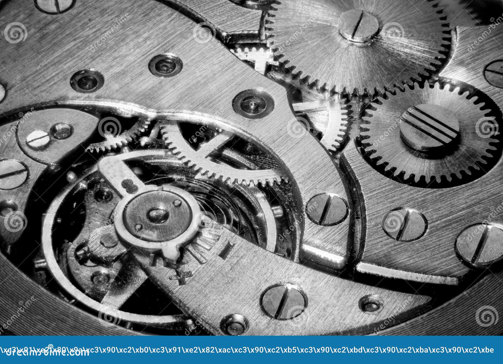 Macro Shot of Clockwork Gears Inside the Watch Stock Photo - Image of ...