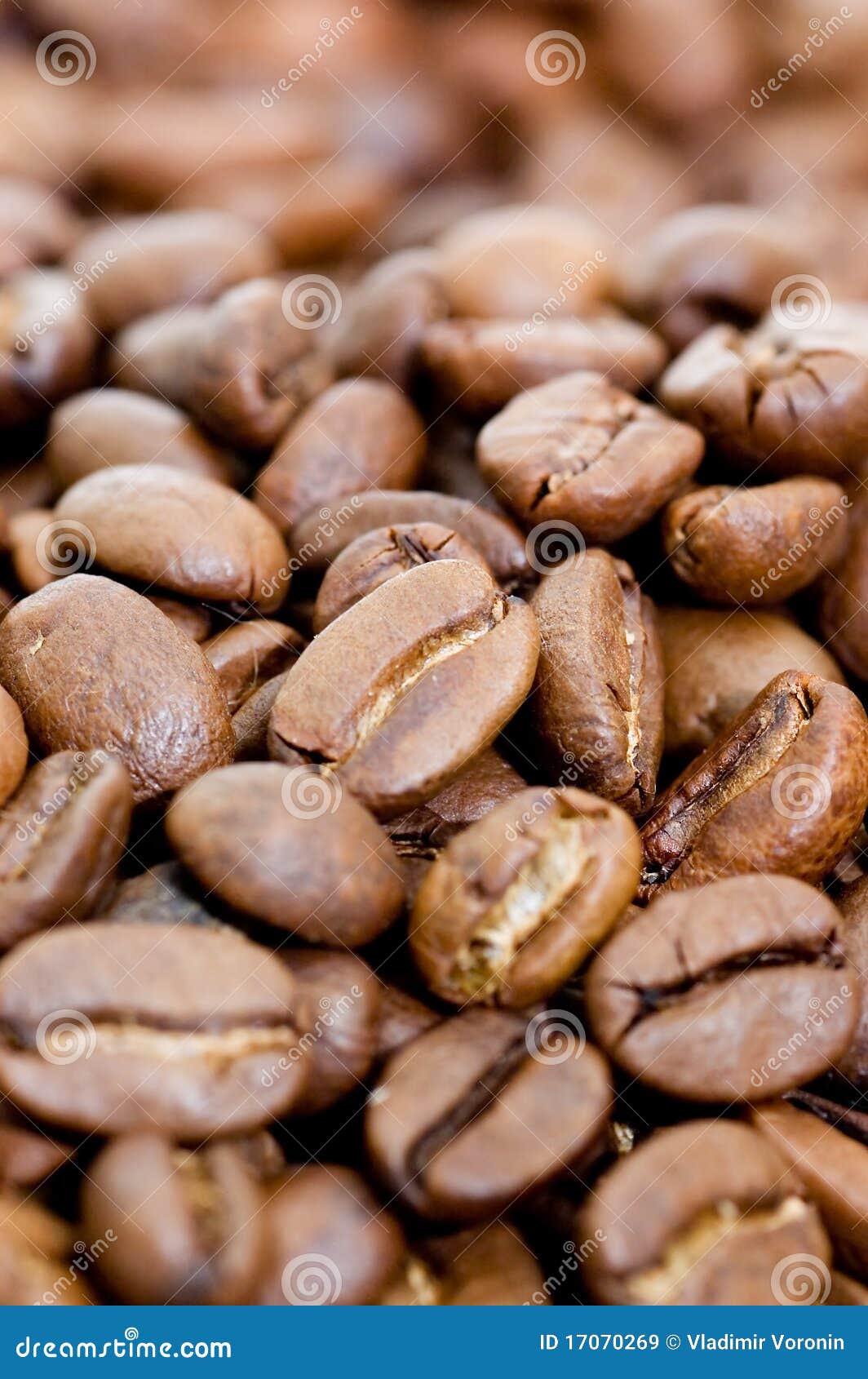 Macro shot of coffee bean stock image. Image of beverage - 17070269