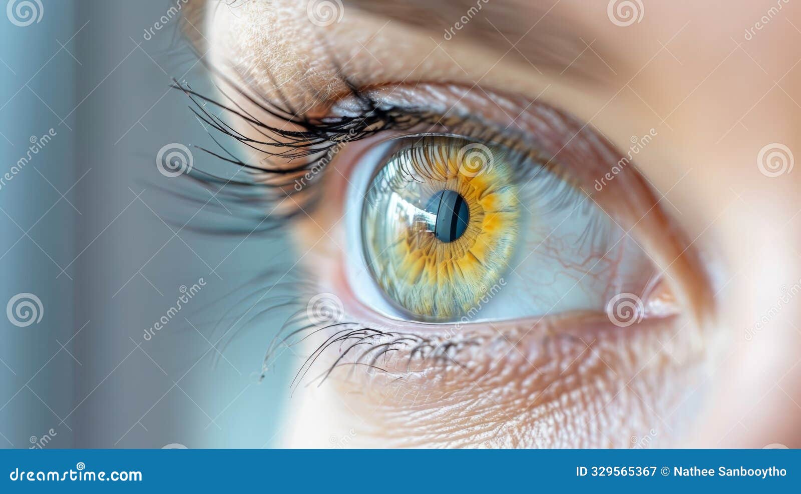 Detailed Human Anatomy Diagram With Medical Annotations And Highlighted ...