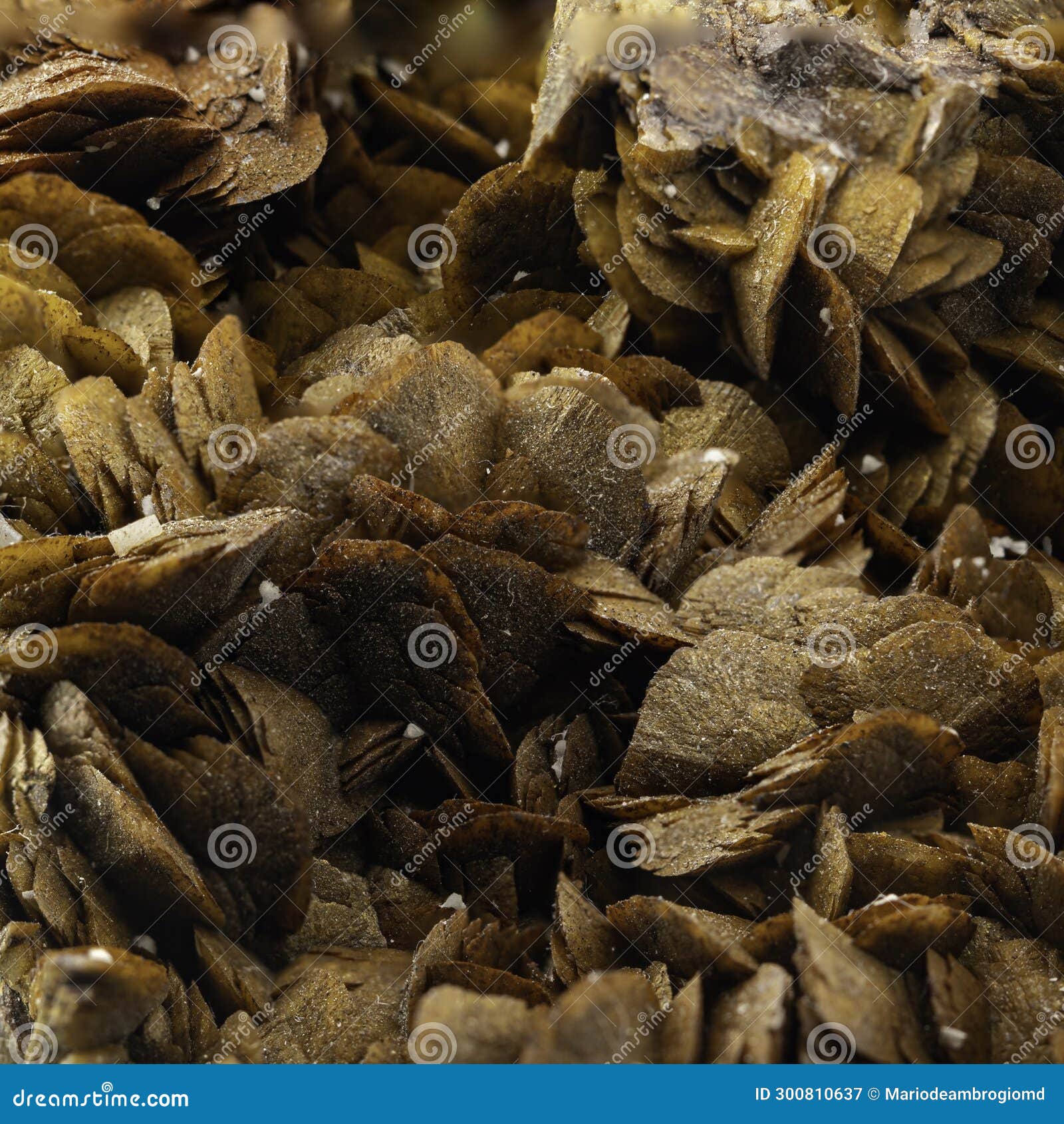 Macro Shot Displaying Siderite Mineral Specimen, Highlighting Its ...