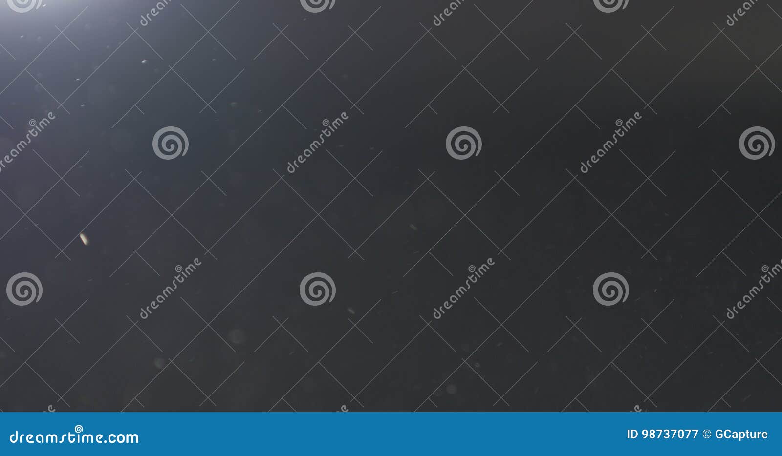 Macro Shot of Dust Float for Overlay Stock Image - Image of close ...