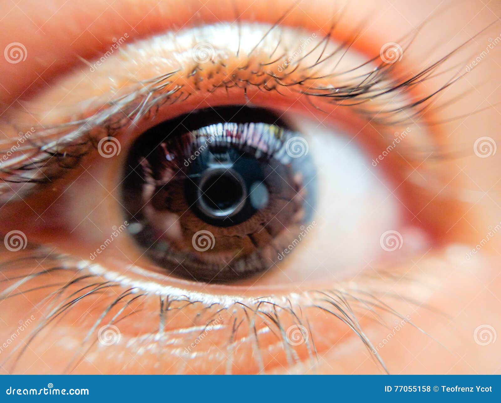 Macro Shot of an Eye in Color Stock Photo - Image of eyes, glisten ...