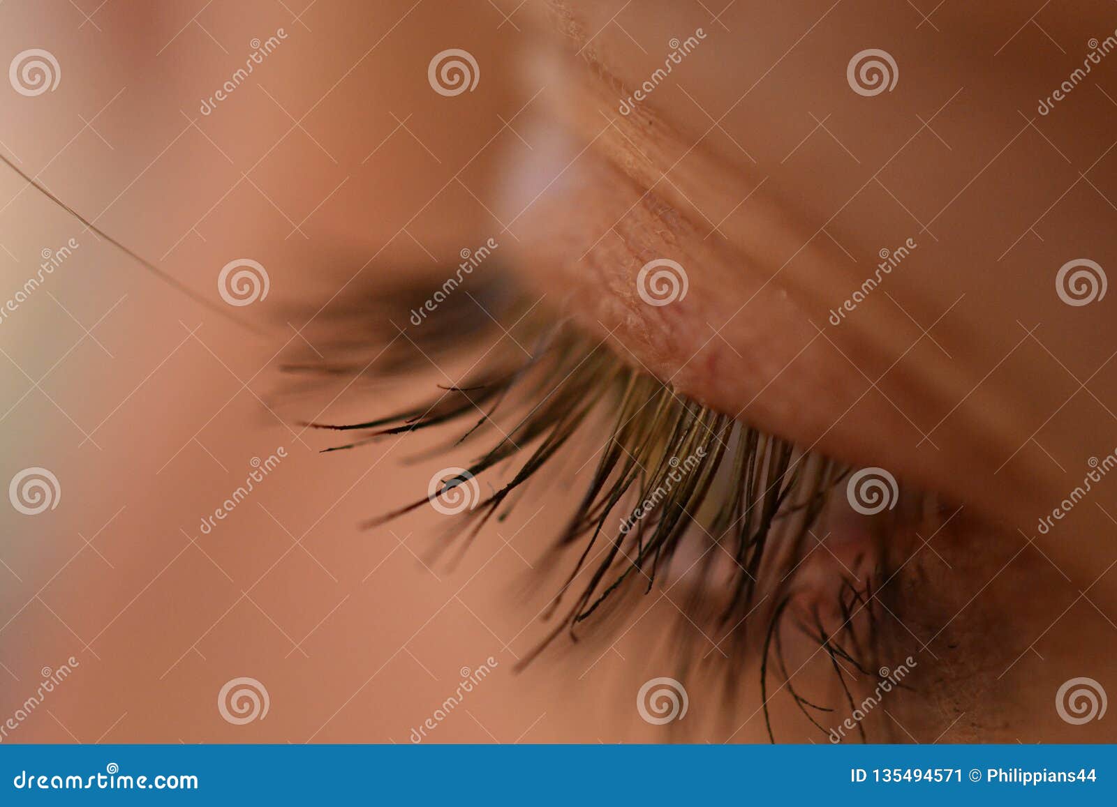 Macro Shot of Eye Lashes of Woman Stock Image - Image of elegance ...