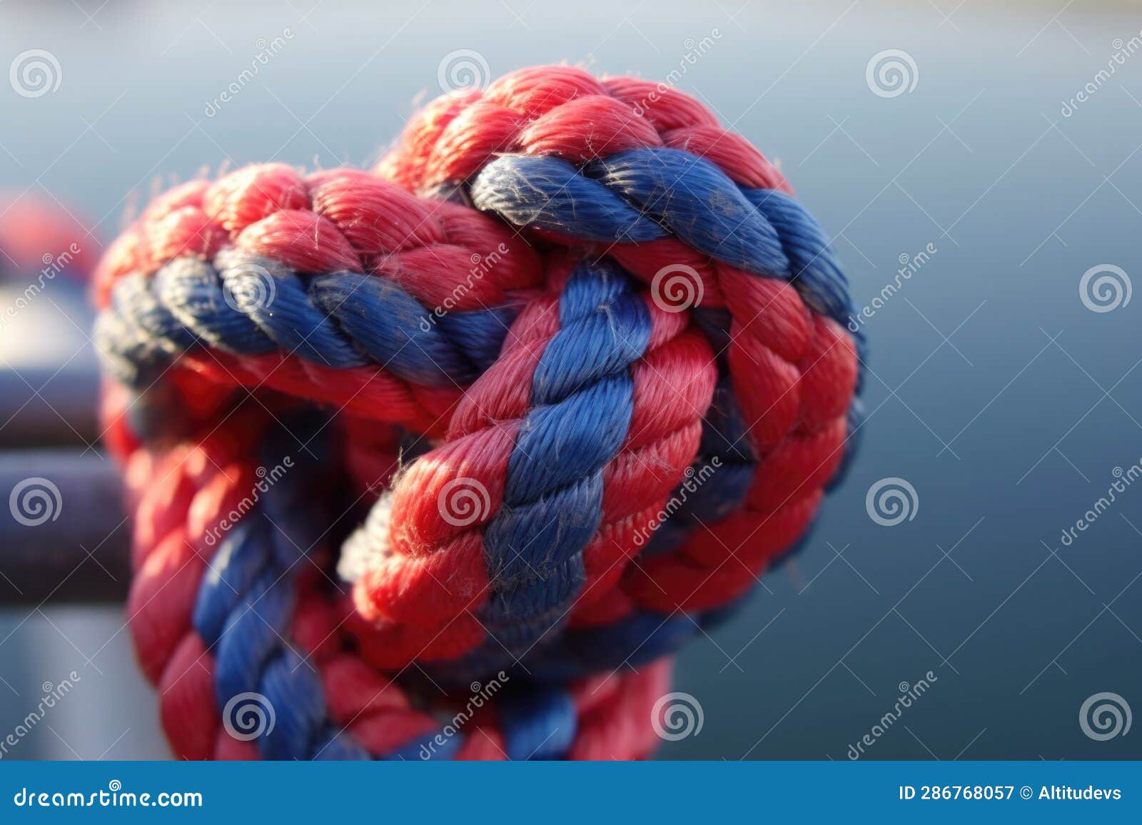Macro Shot of a Figure-eight Knot on a Windsurfing Rig Stock Image - Image of generative, rope ...