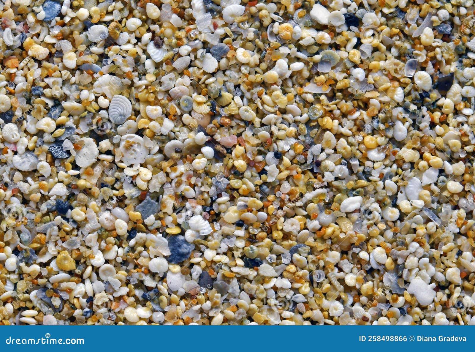 Fine Beach Sand In The Summer Sun. Sand Texture. Sandy Beach For ...