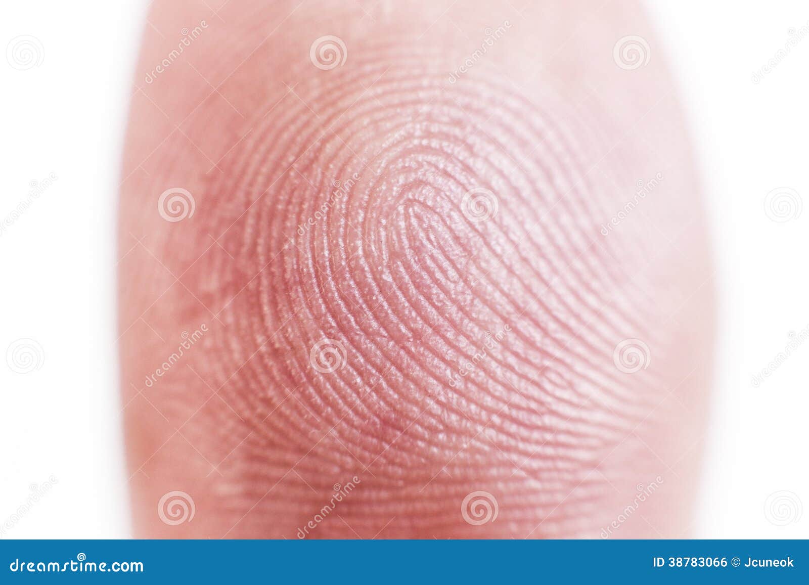 Macro shot fingerprint stock photo. Image of background - 38783066