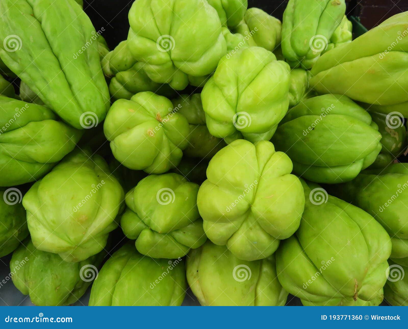 Macro Shot of Fresh Exotic Vegetable Chayote Stock Photo - Image of ...
